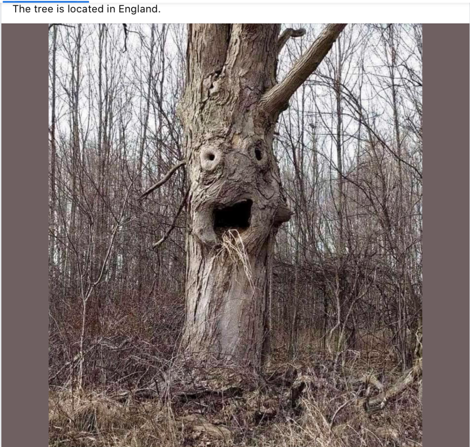 Singing Trees